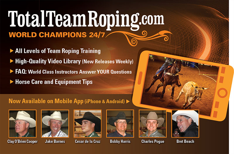 Total Team Roping | Left Right Studio, Inc.